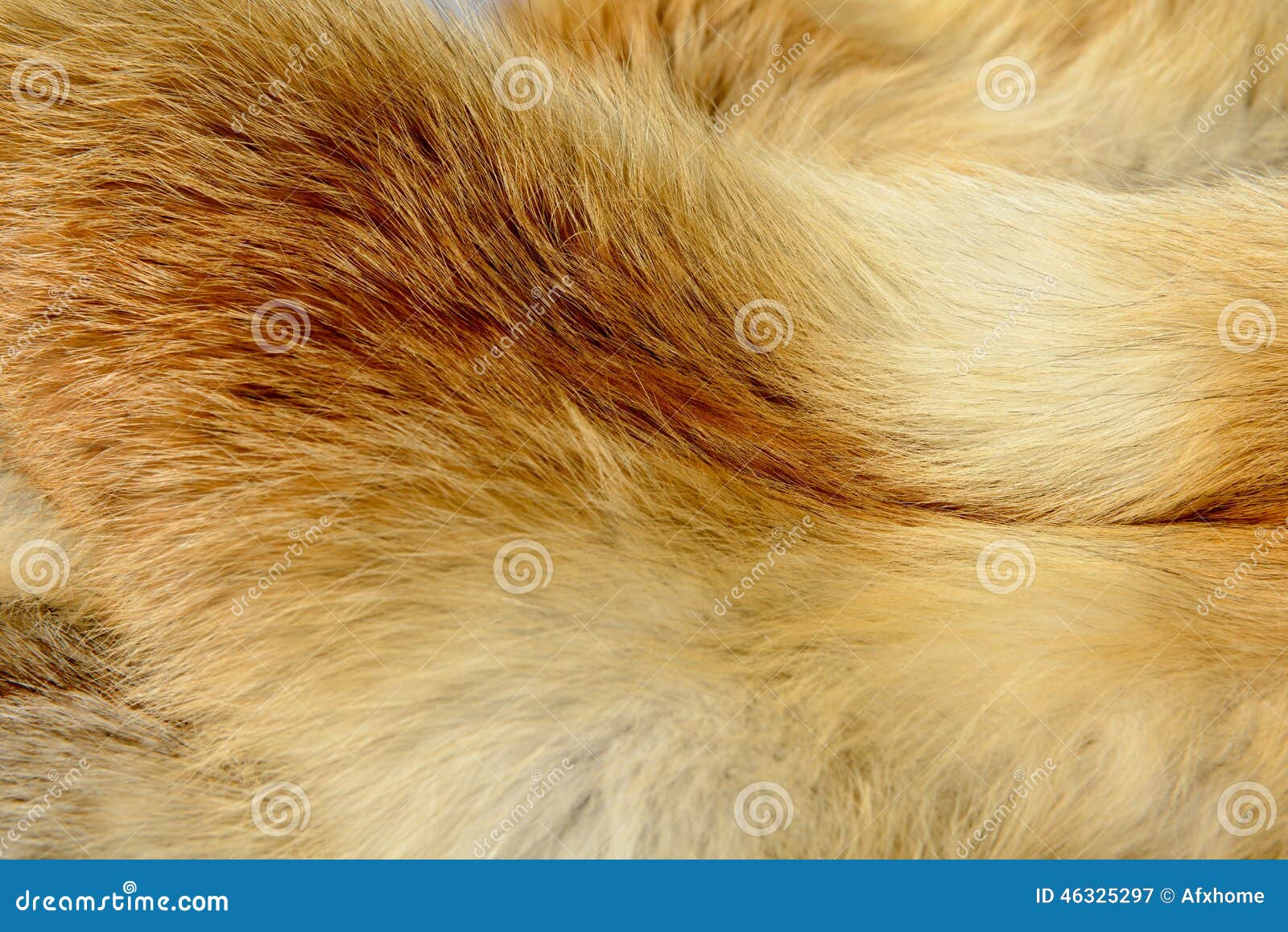 Fox Fur Animal Texture Background Stock Image - Image of artistic ...