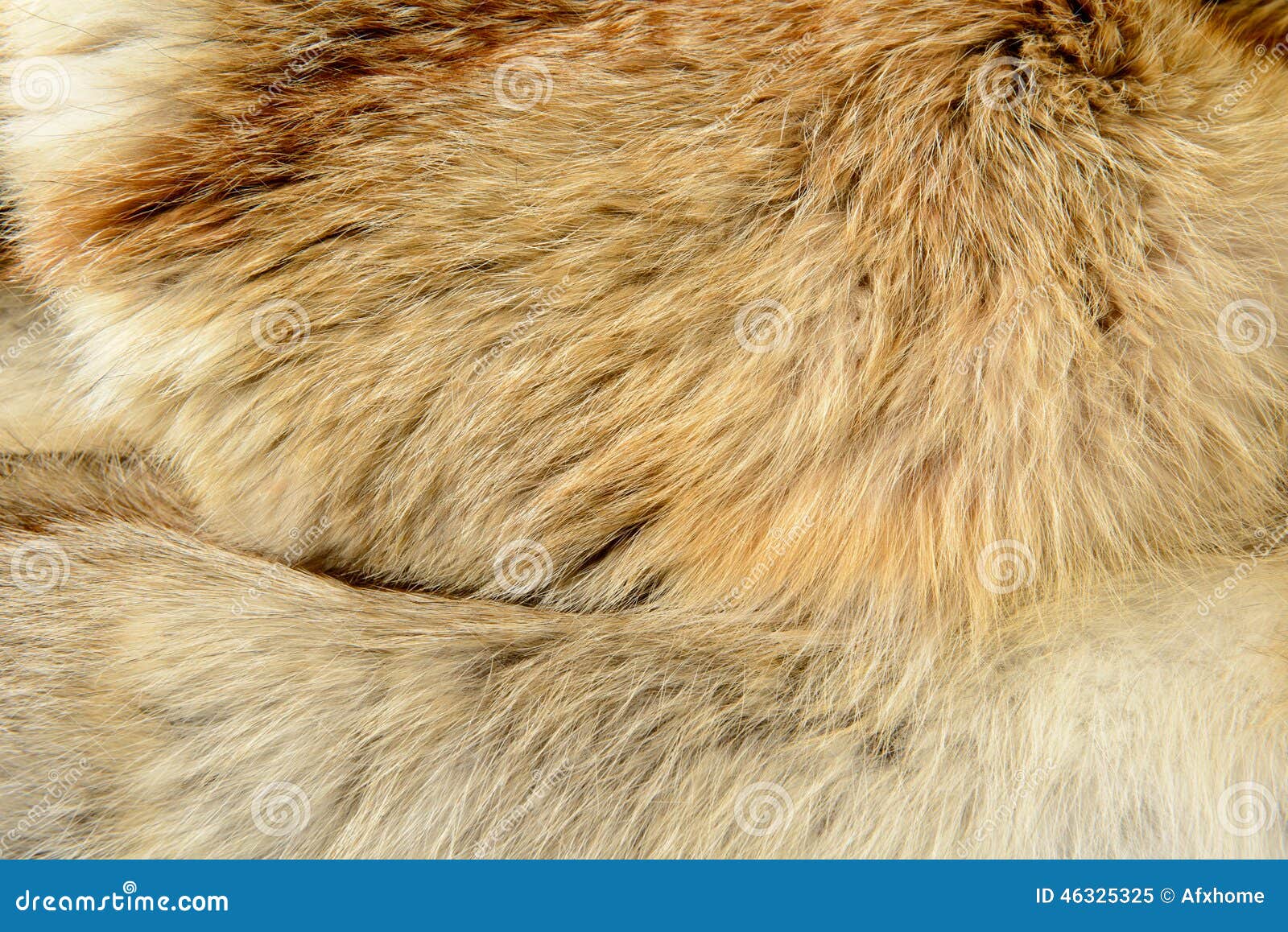 Fox Fur Animal Texture Background Royalty-Free Stock Photography ...