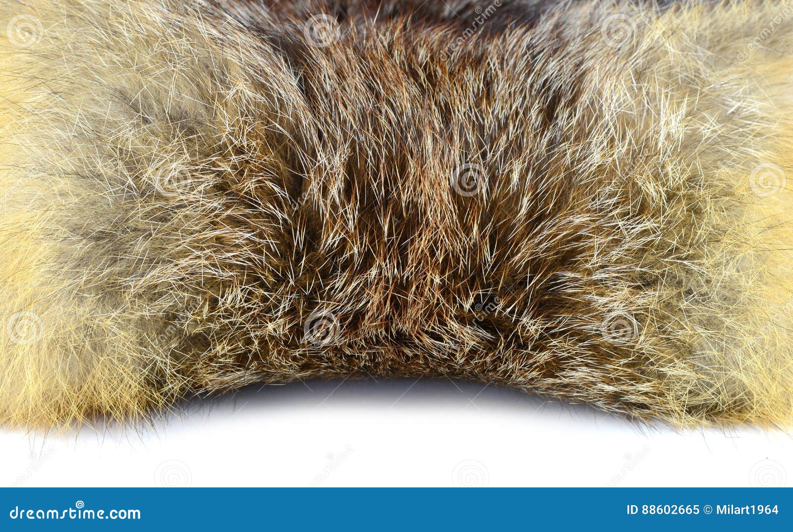 Fox fur. stock image. Image of hair, wallpaper, backdrop - 88602665