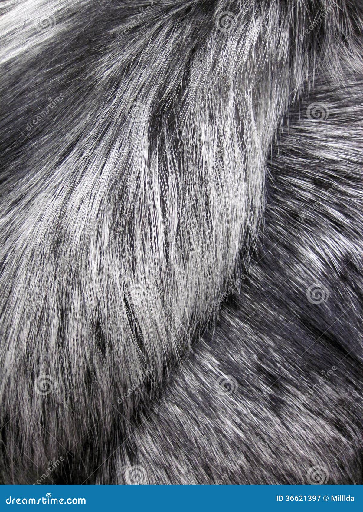 Fox fur stock image. Image of grey, pattern, soft, luxurious - 36621397