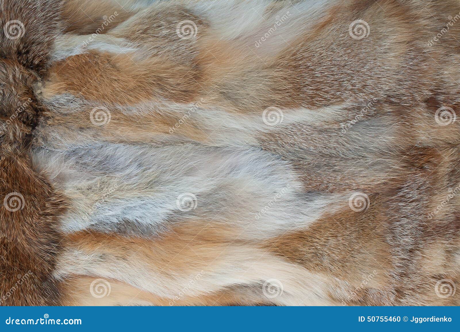 Fox fur texture background stock photo. Image of coat - 50755460