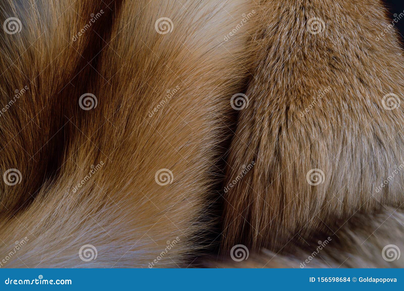 Fox Fur. Texture Closeup. Backdrop Stock Photo - Image of abstract ...