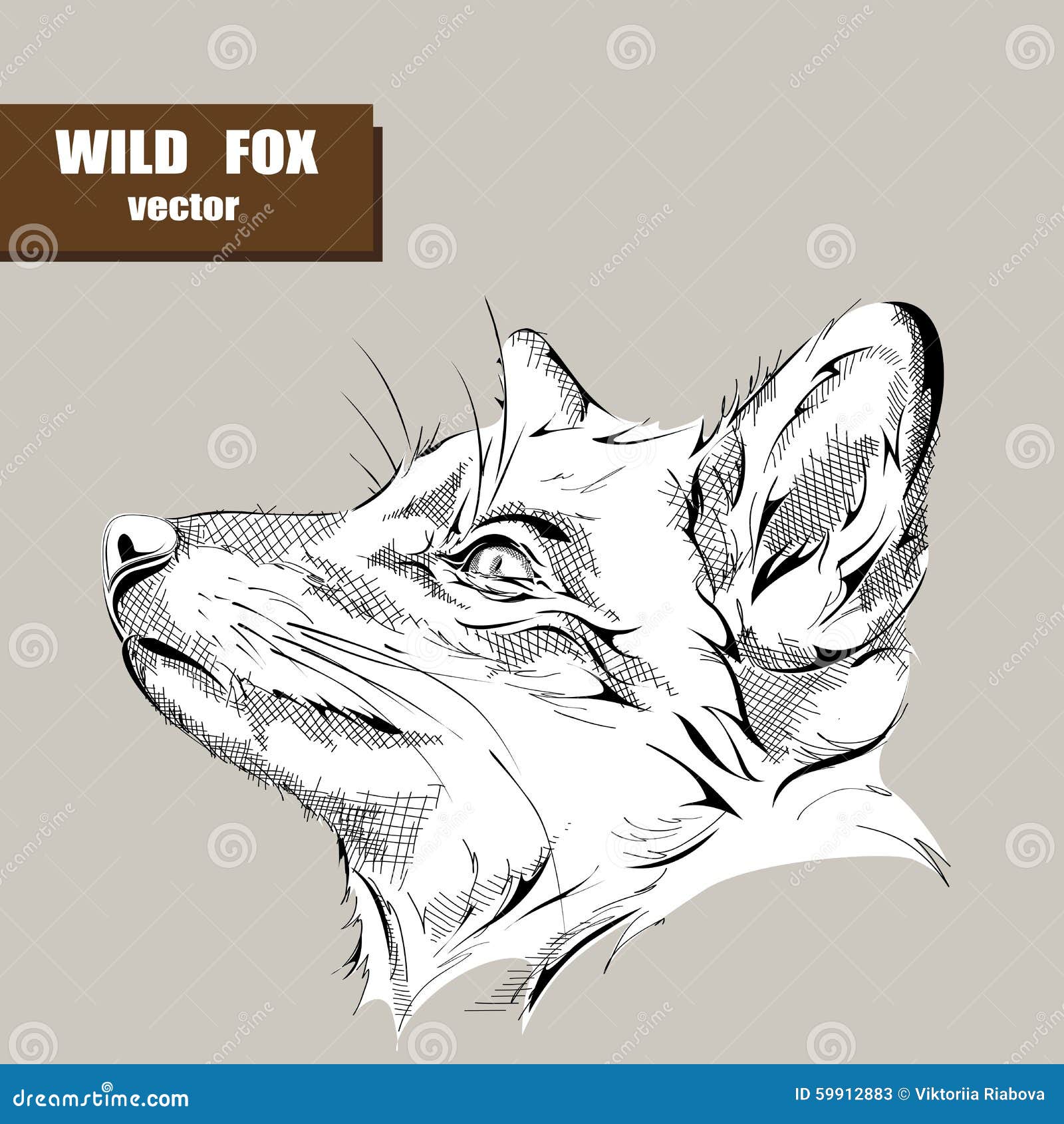 Fox. Hand Drawing Vector Illustration Stock Vector - Illustration of ...
