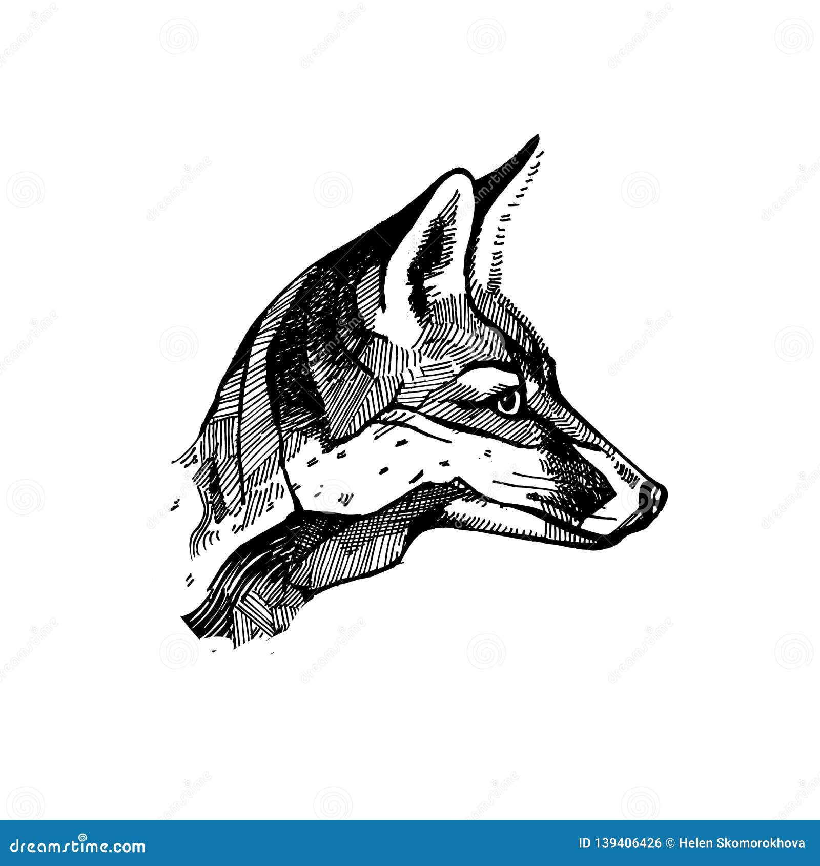 Fox Head Drawing Hands Retro Style Sketch Stock Vector - Illustration ...