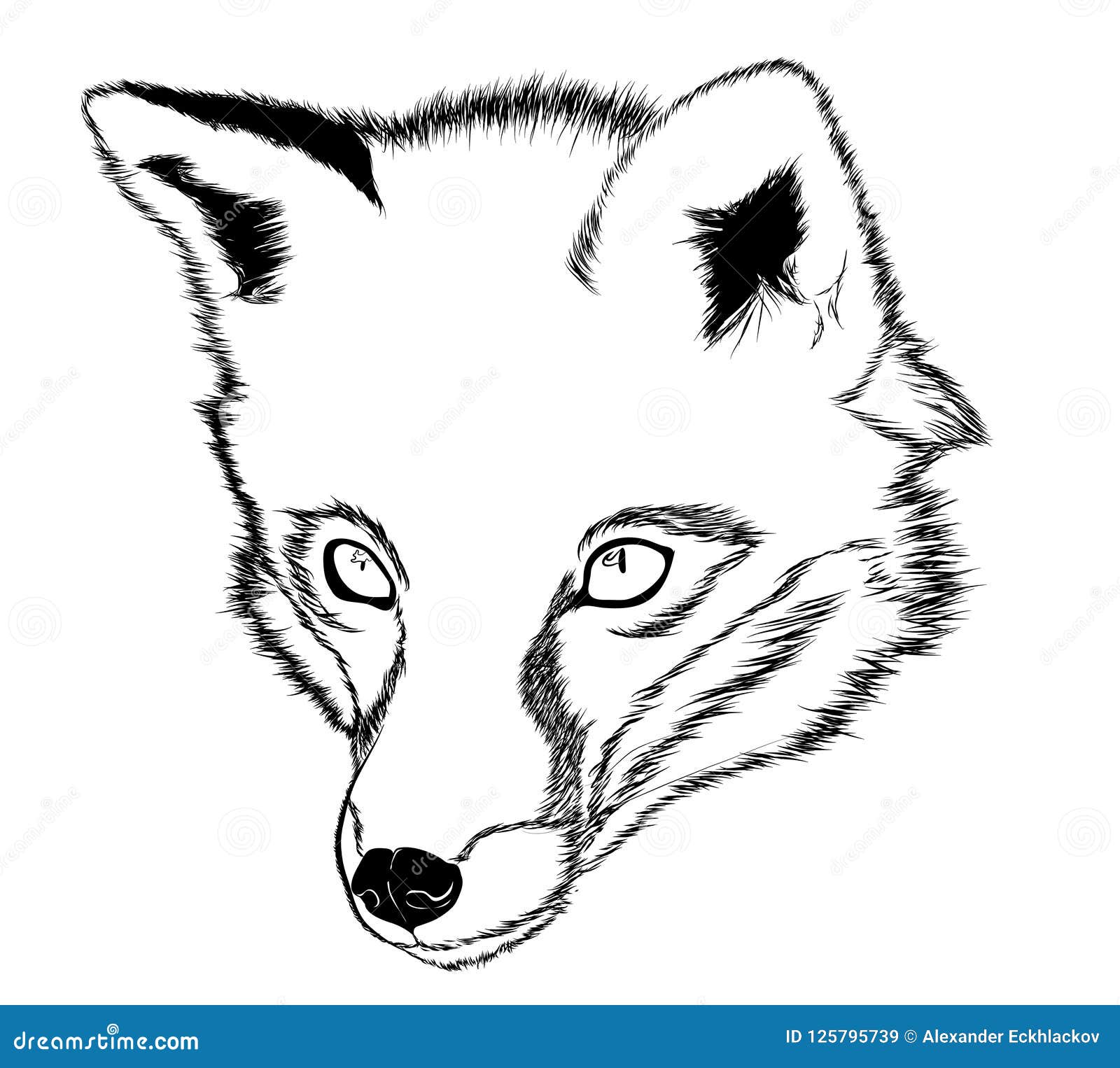 Fox head face front view stock illustration. Illustration of hunting ...