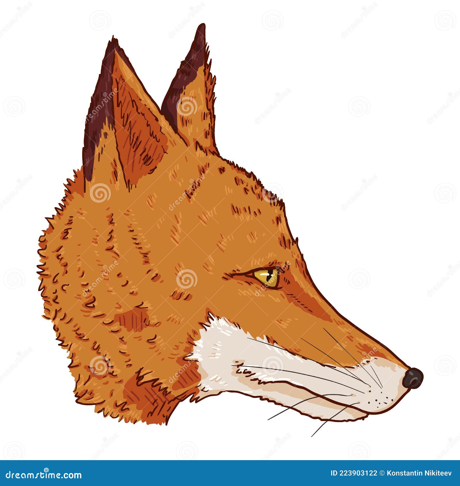 Fox Head. Vector Cartoon Illustration Stock Vector - Illustration of ...