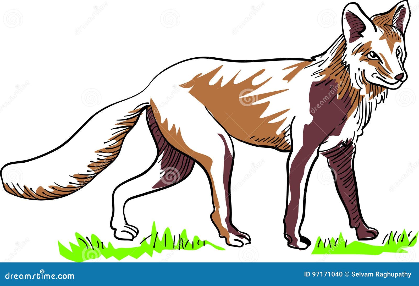 Fox line art stock vector. Illustration of logo, wildlife - 97171040
