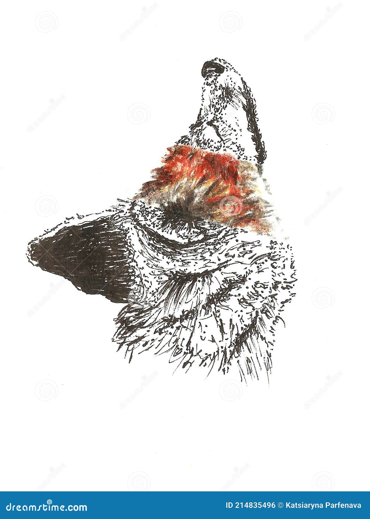Fox Looks Up Graphic Sketch at the Camera Stock Illustration ...