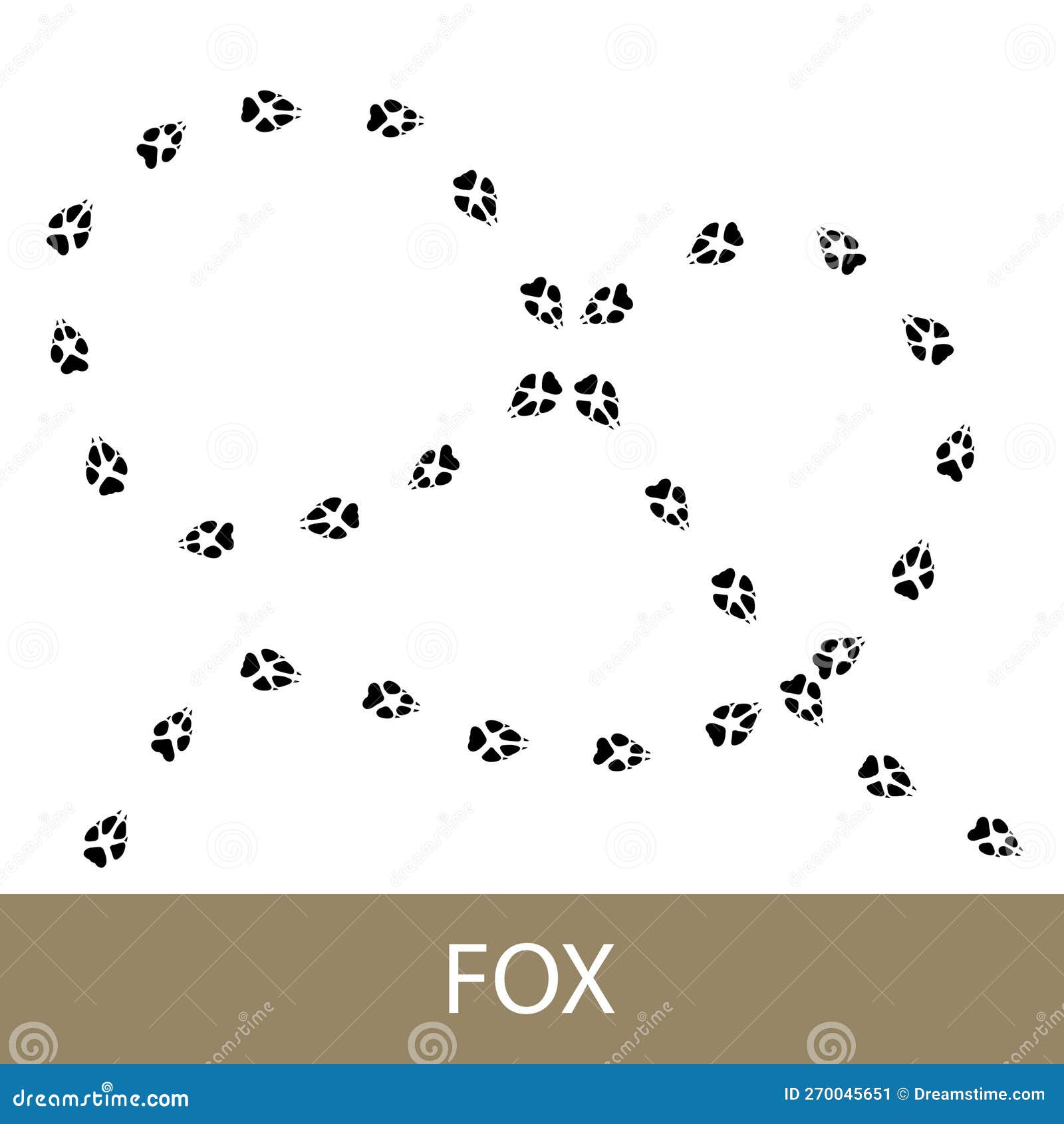 Fox mammal animal traces stock vector. Illustration of walk - 270045651