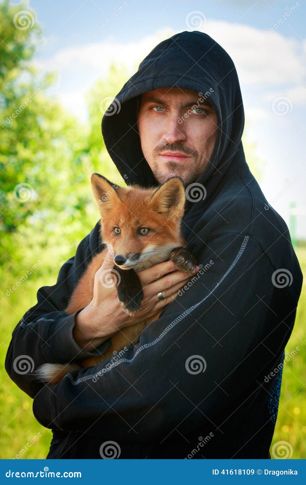 Fox and man stock image. Image of friend, green, animal - 41618109