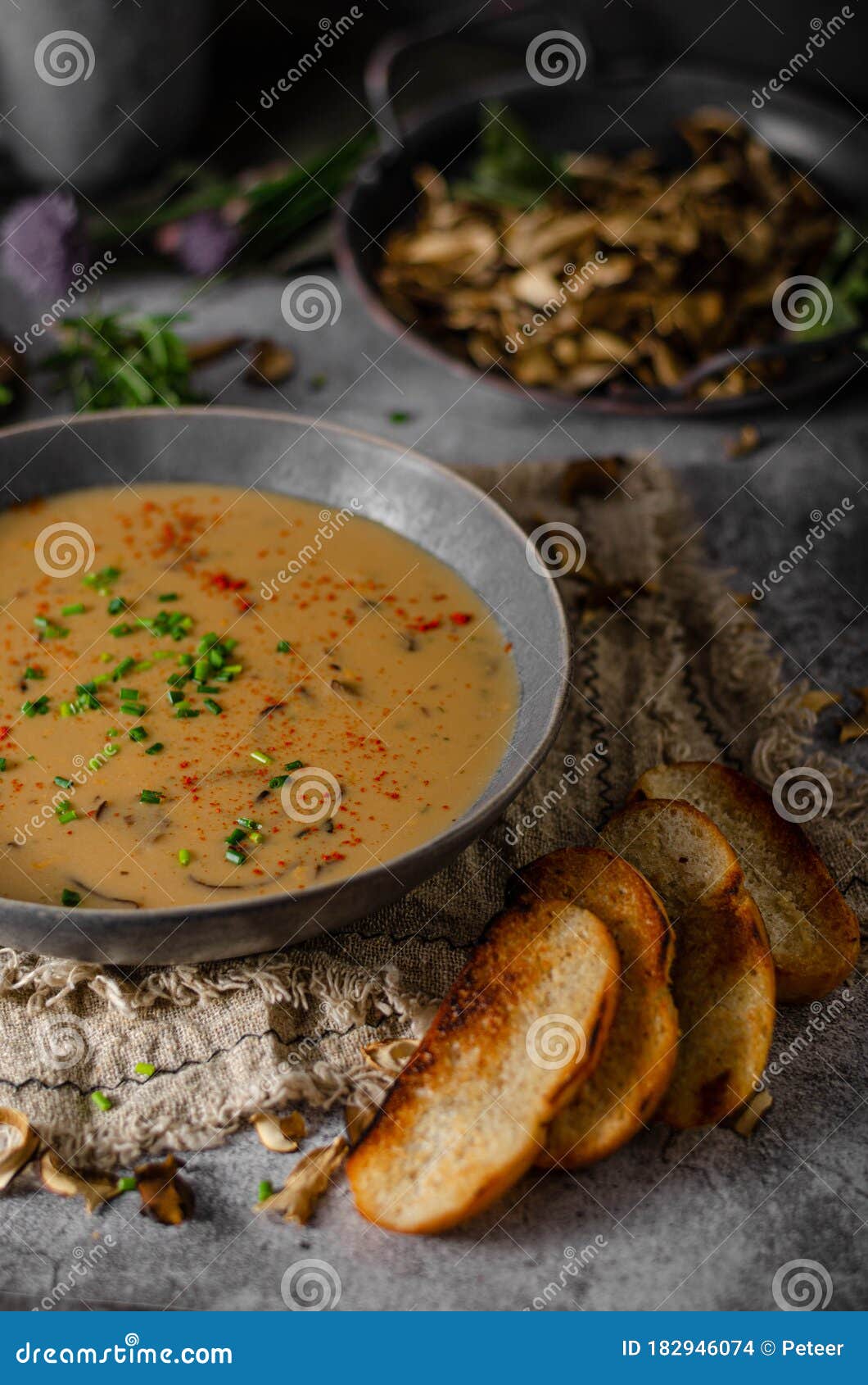 Fox mushrooms soup stock photo. Image of soup, spoon - 182946074