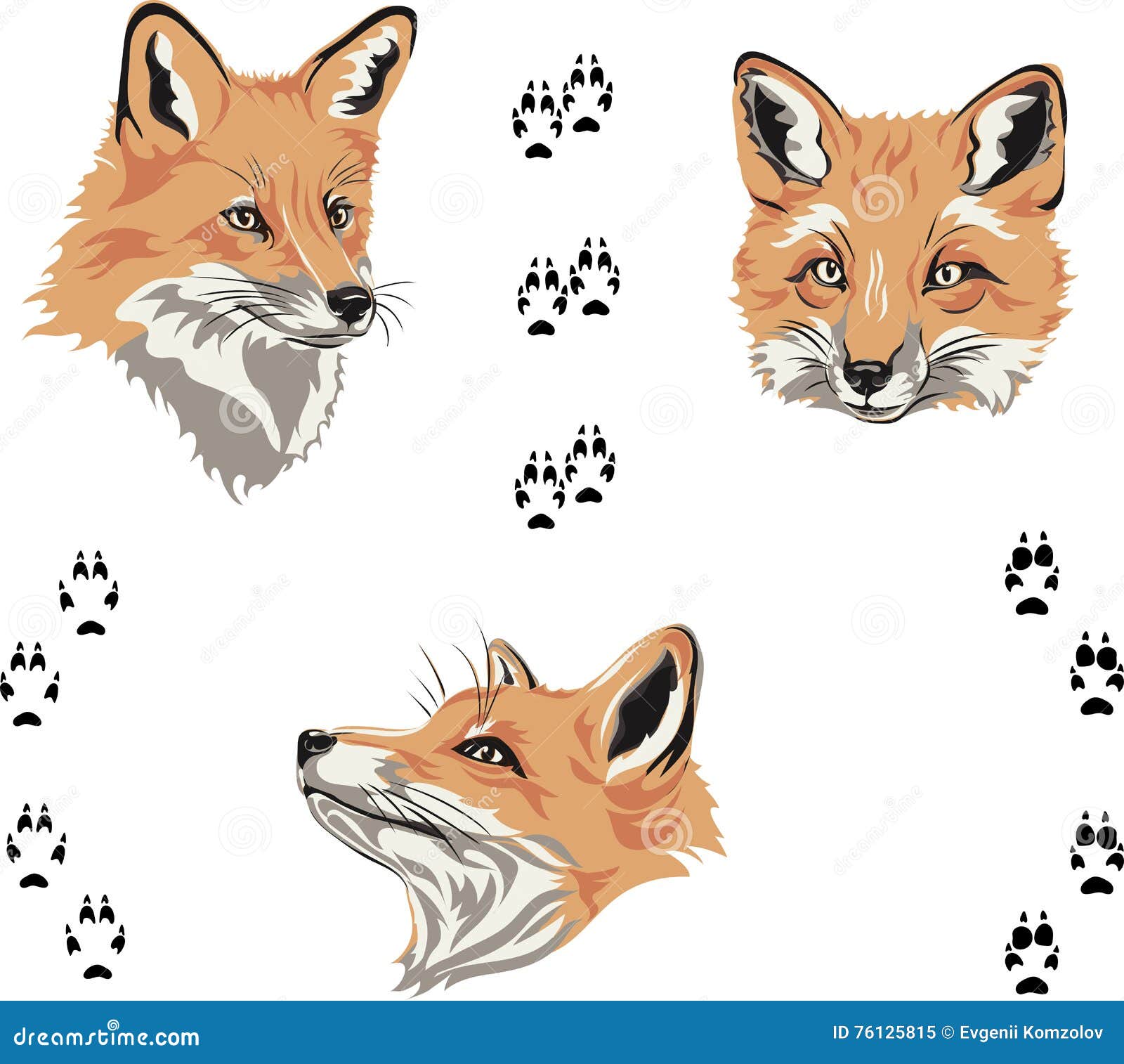 Fox, Portrait, Color, Fox S Snout, Vector, Silhouette, Set Stock Vector ...