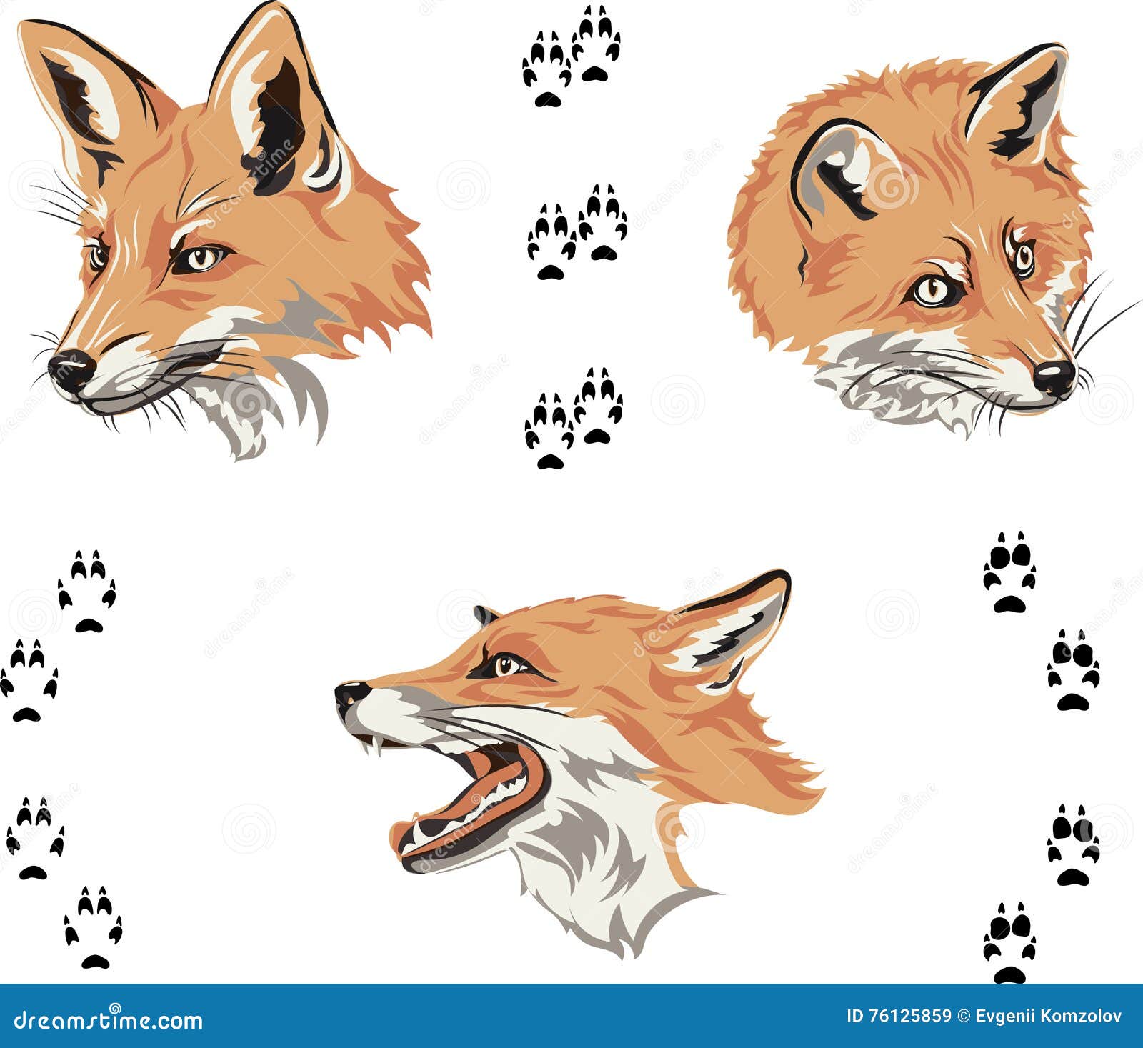 Fox, Portrait, Color, Fox S Snout, Vector, Silhouette, Set Stock Vector ...
