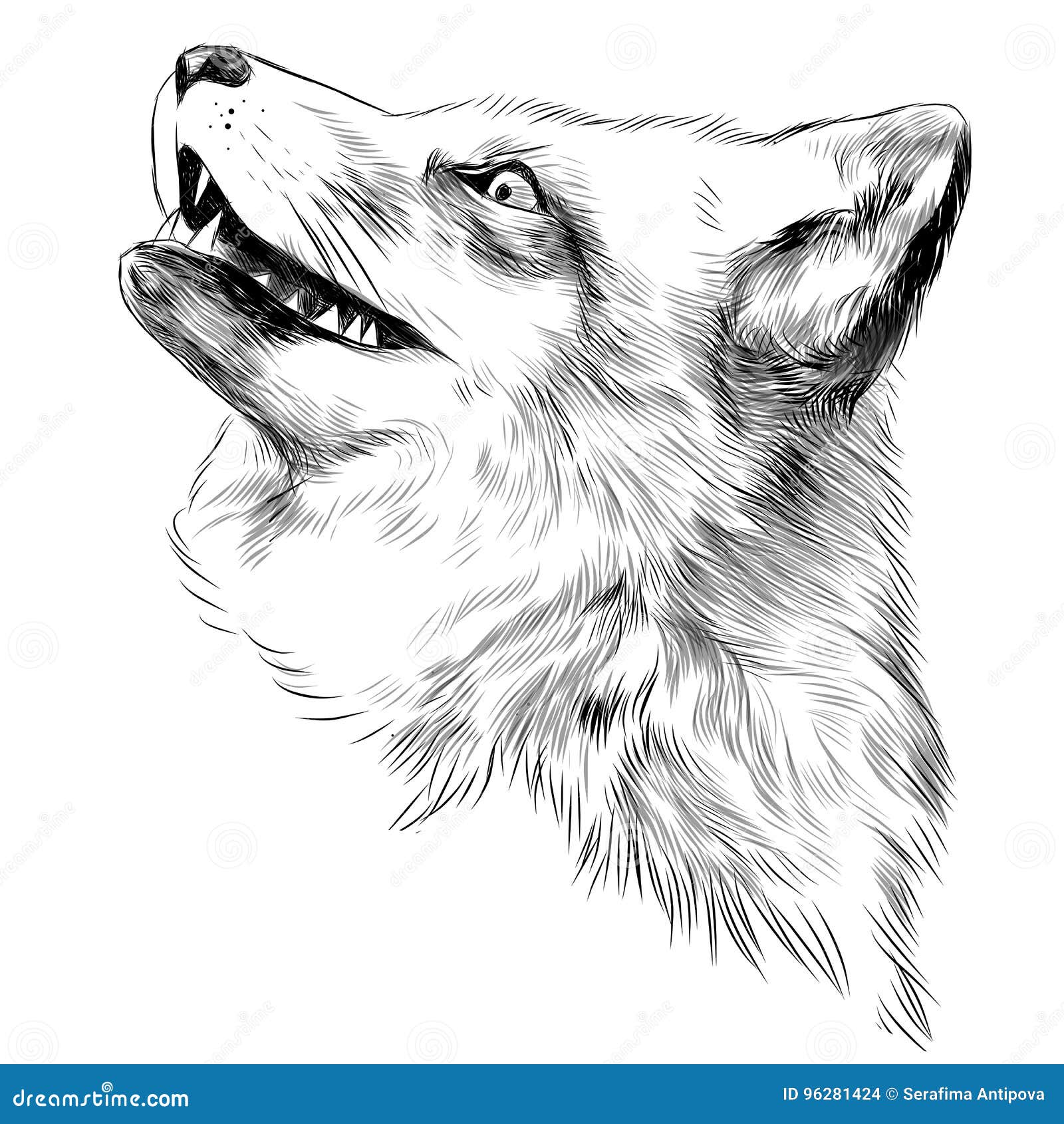 A Fox Sketch Vector Graphics Stock Vector - Illustration of design ...