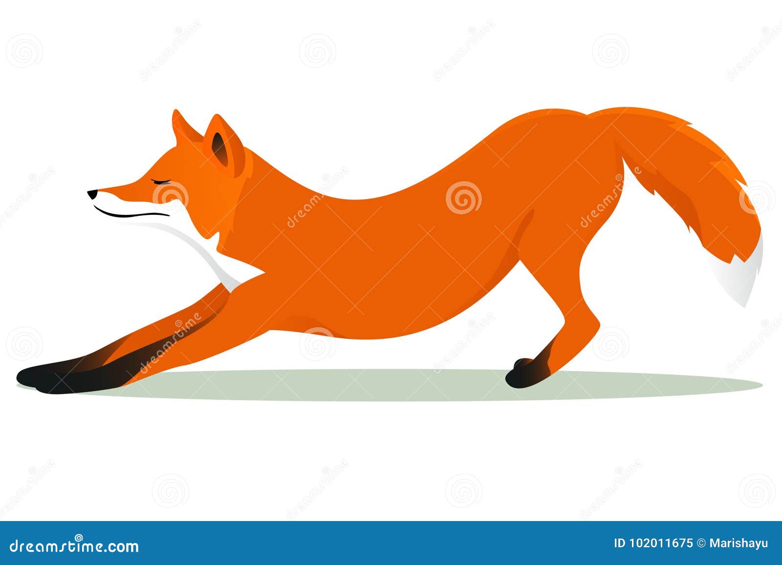 Fox is stretching stock vector. Illustration of vector - 102011675