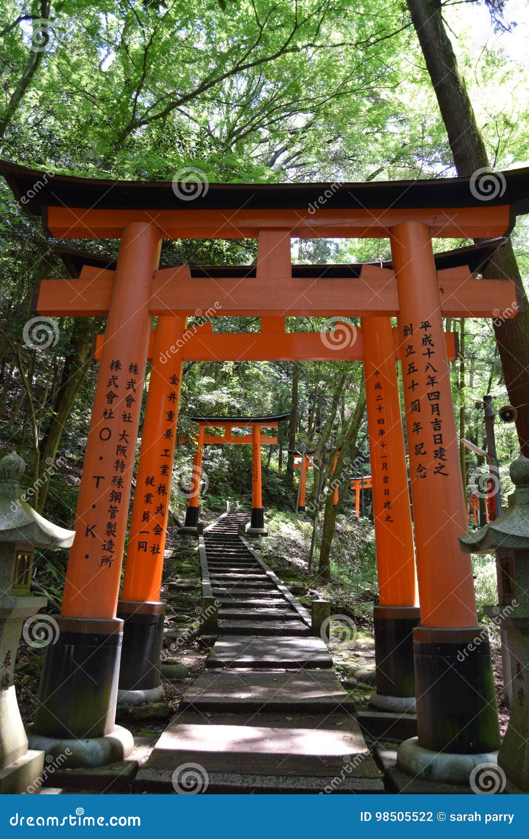 Fox Temple Japan Torii Gates Stock Photo - Image of trees, shrine: 98505522