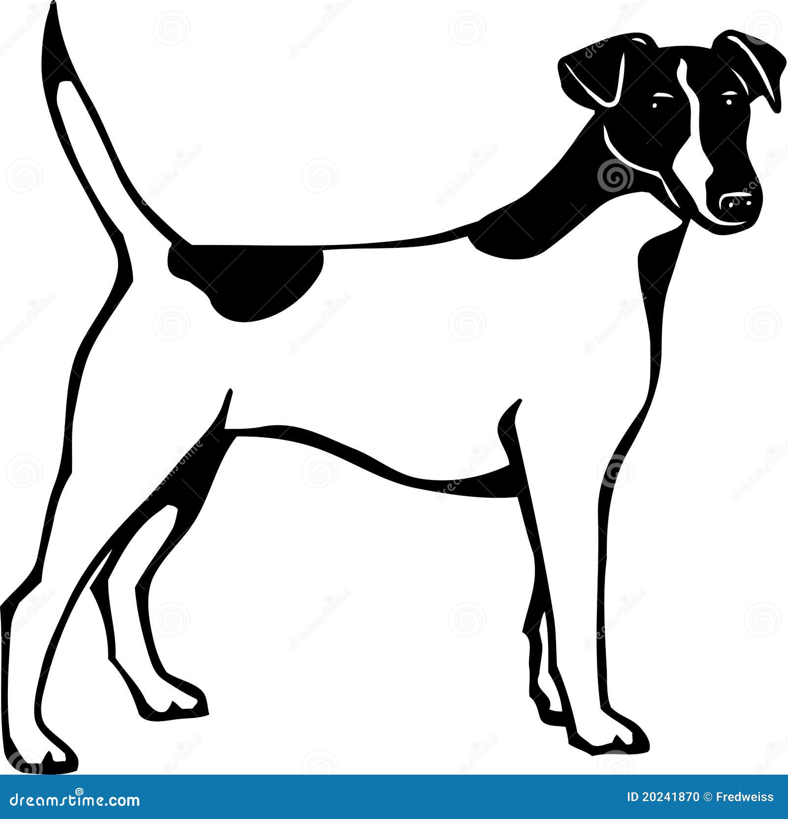 Fox Terrier stock vector. Illustration of domestic, terrier - 20241870