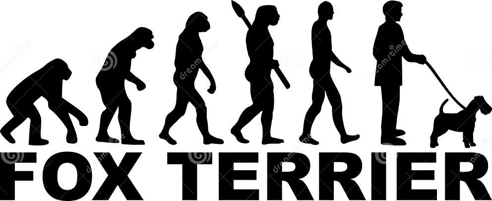 Fox Terrier Evolution with Name Stock Vector - Illustration of ...