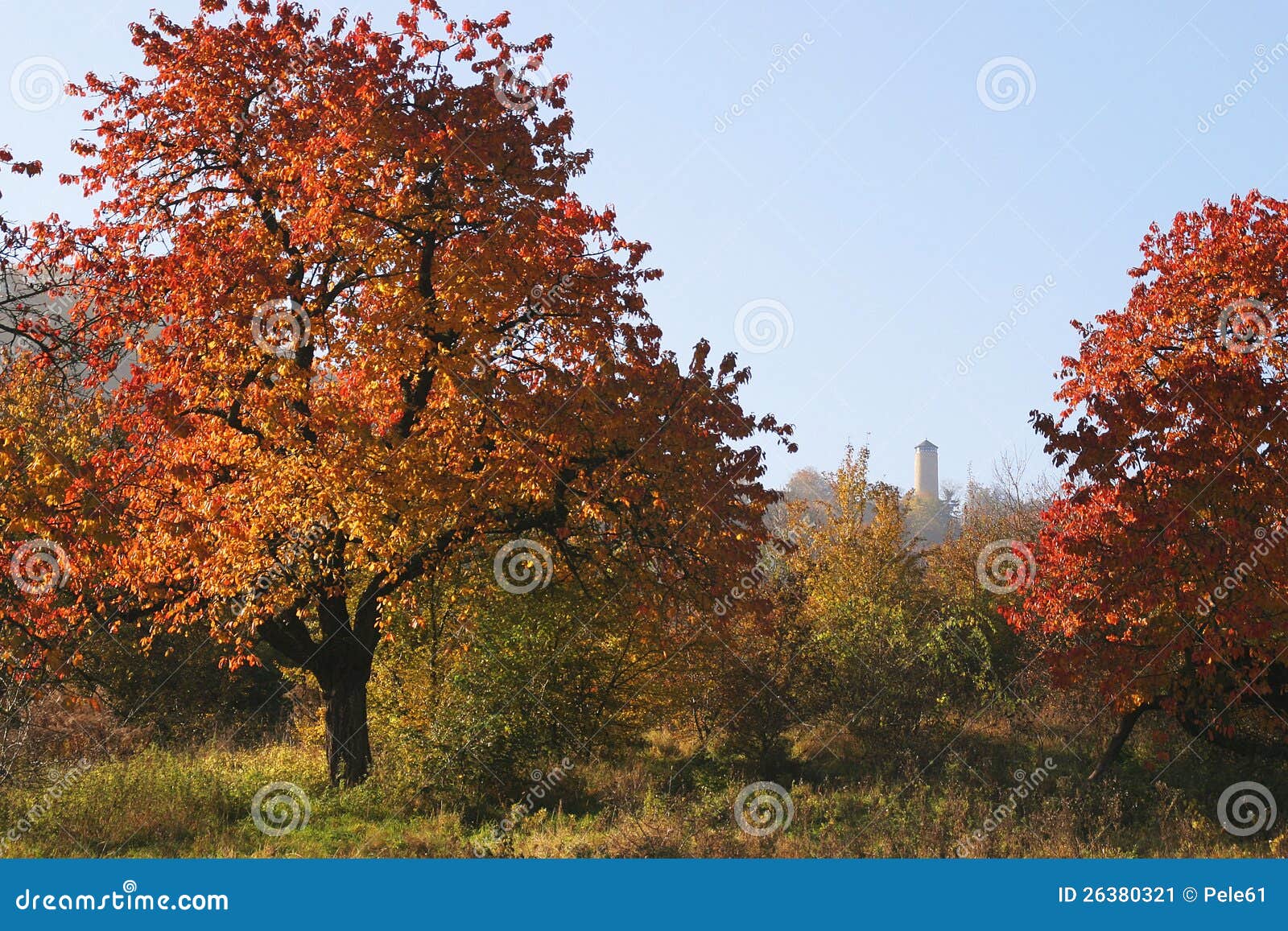 Fox Tower Auf Jena in the Autumn Stock Image - Image of thuringia, city ...