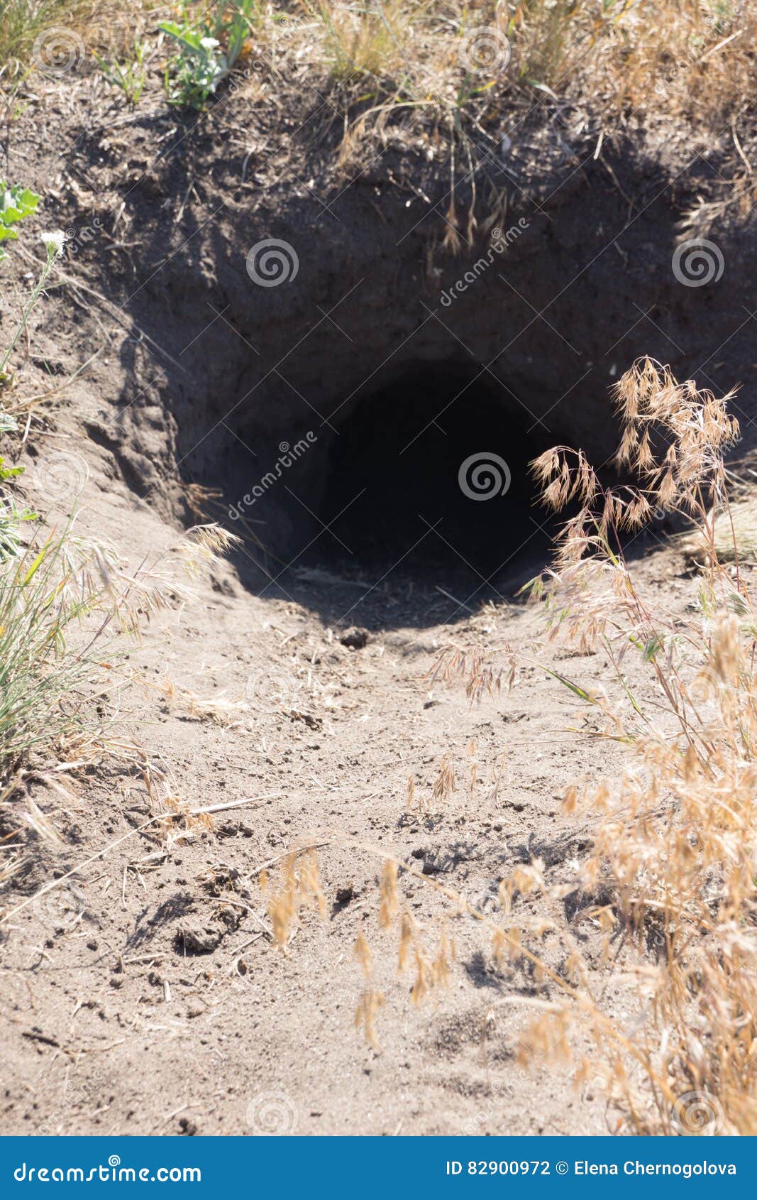 Foxhole stock foto. Image of sluw, basis, huis, geologie - 82900972