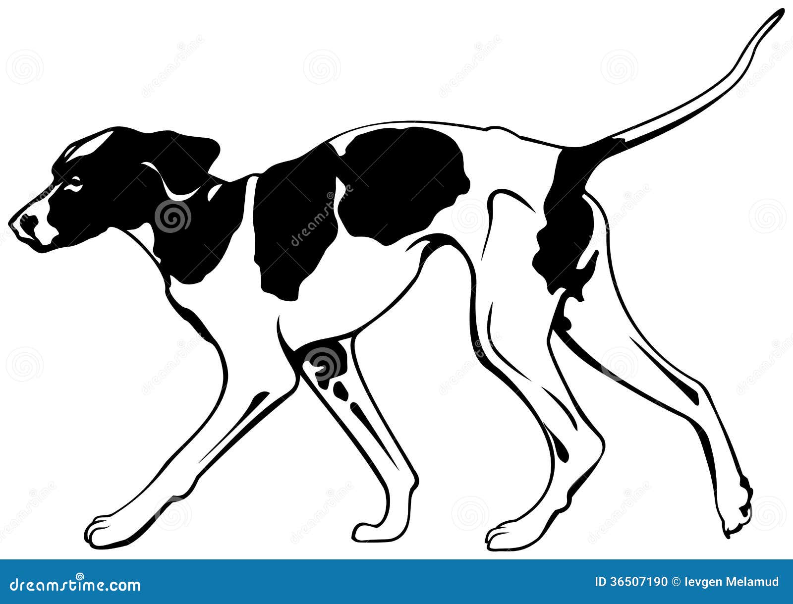 Foxhound Cartoons, Illustrations & Vector Stock Images - 911 Pictures ...