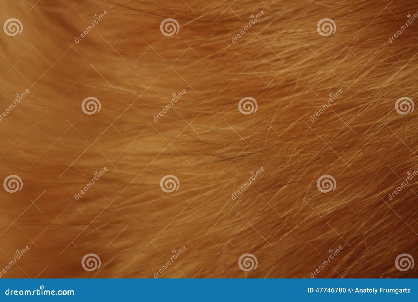 Foxy fur stock photo. Image of foxy, abstract, animal - 47746780