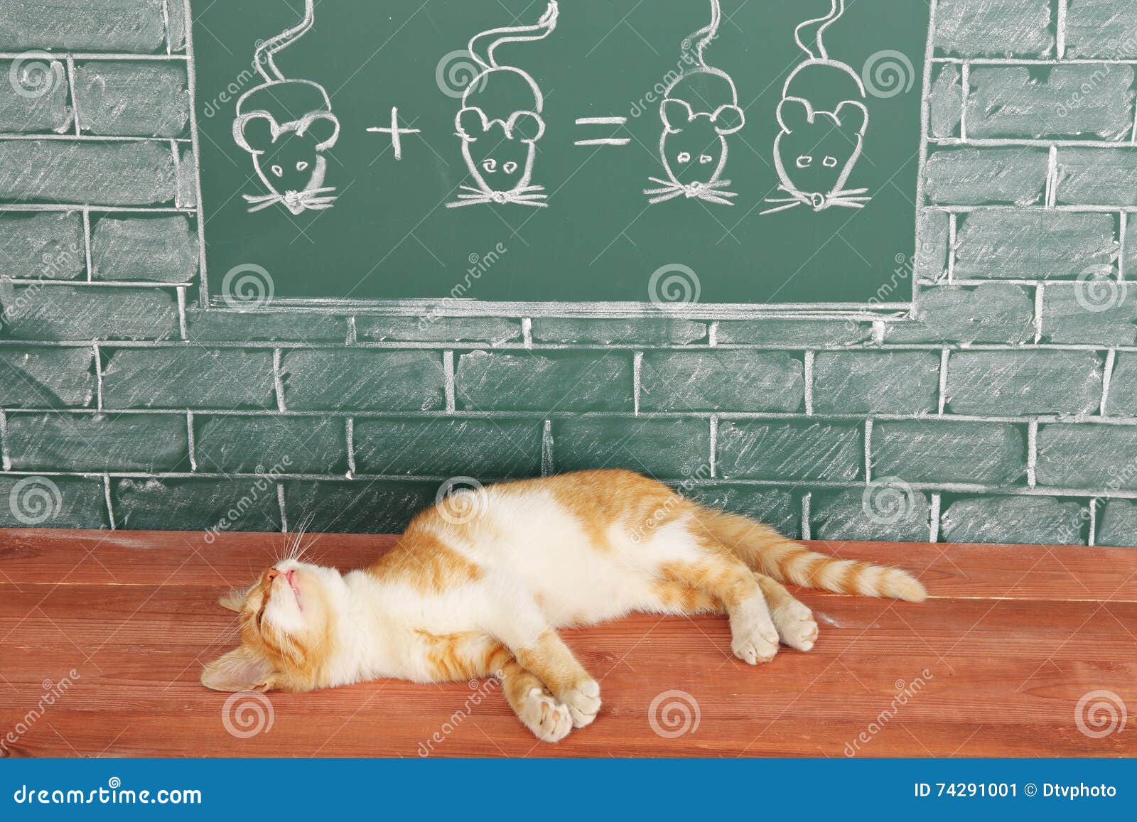 Cat Studied Mathematics Stock Image | CartoonDealer.com #90229921