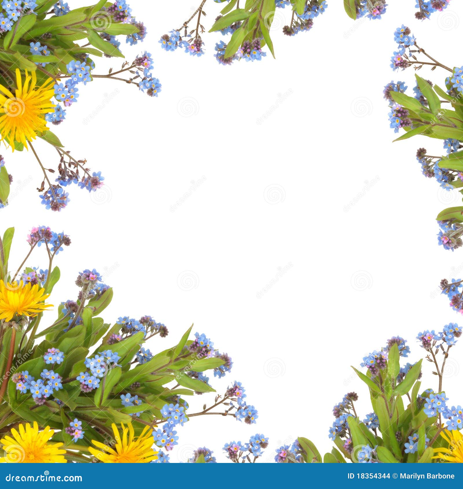 Frühlings-Blumen-Rand stockfoto. Bild von pflanzen, löwenzahn - 18354344