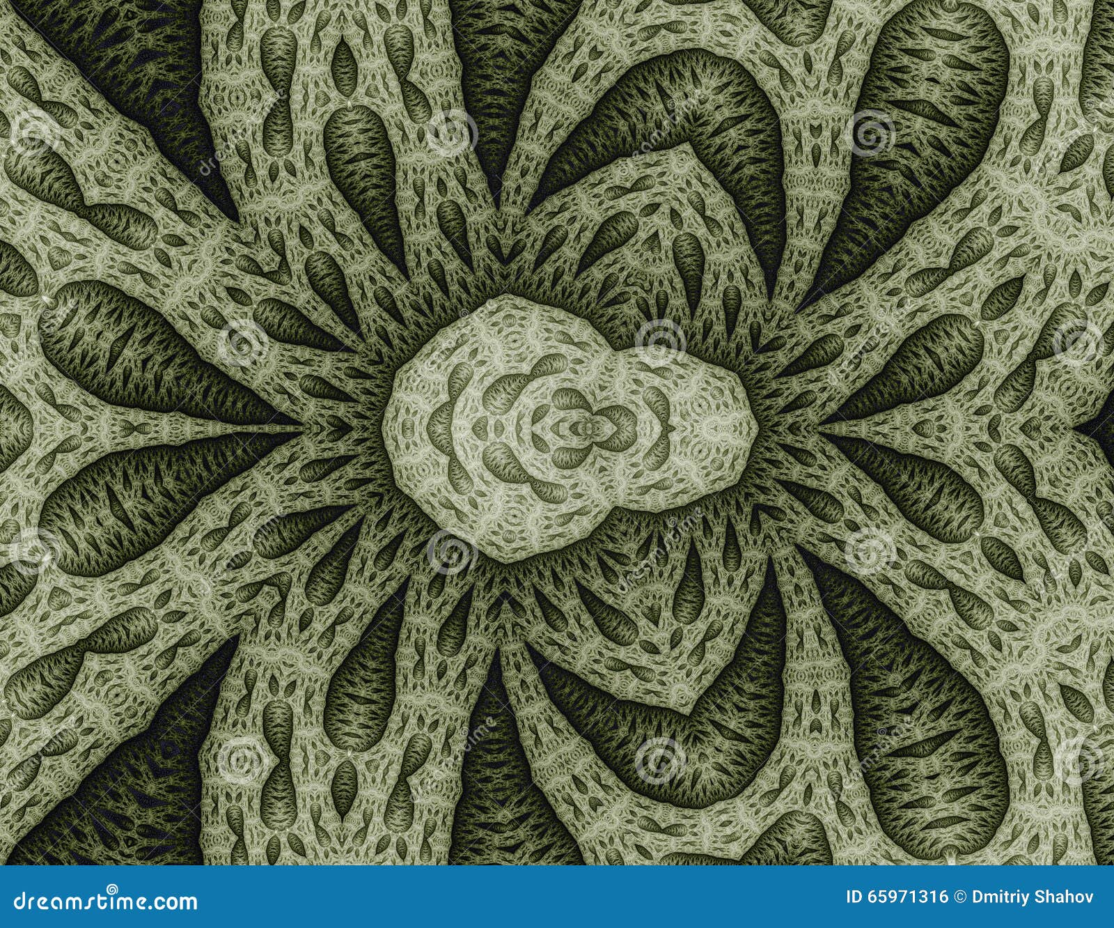 Fractal Bone Structures Pattern (Julia Set) Stock Illustration ...