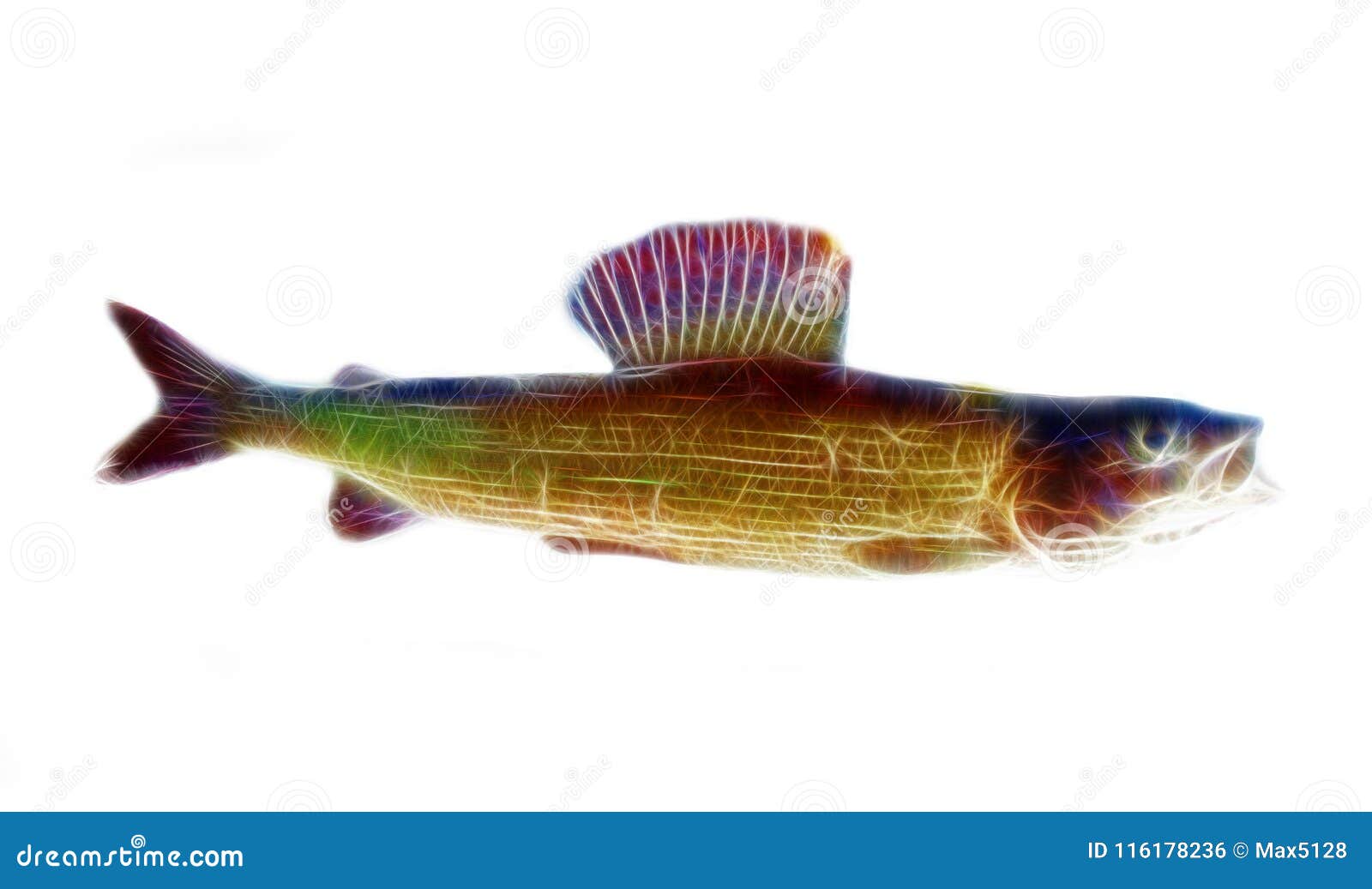 Fractal Fish Pattern. Grayling Illustration Stock Illustration ...