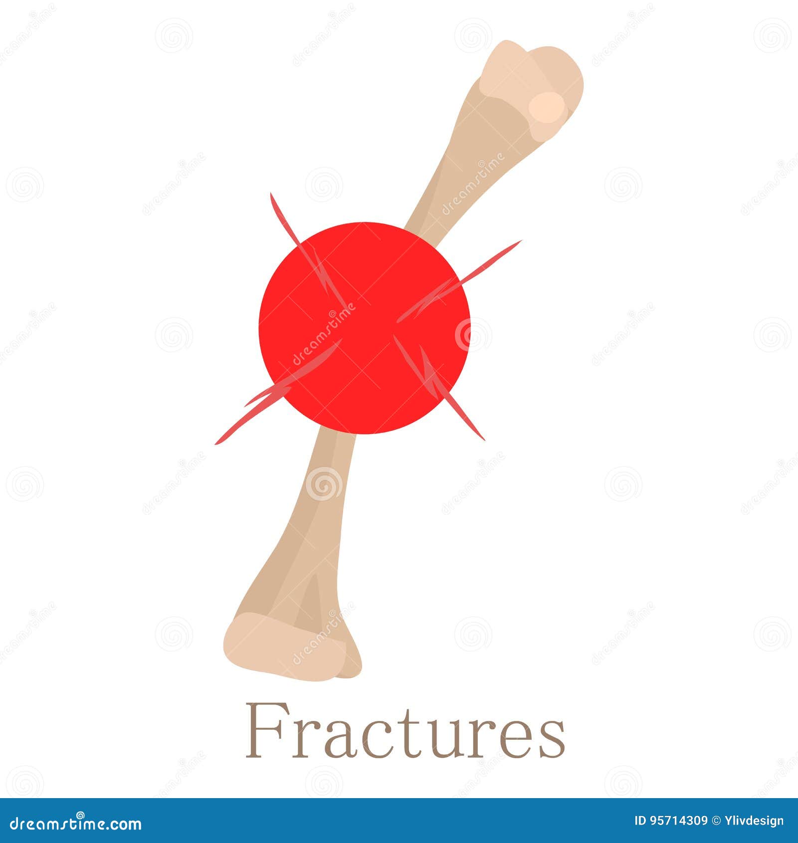 Fracture Bone Icon, Cartoon Style | CartoonDealer.com #95714309