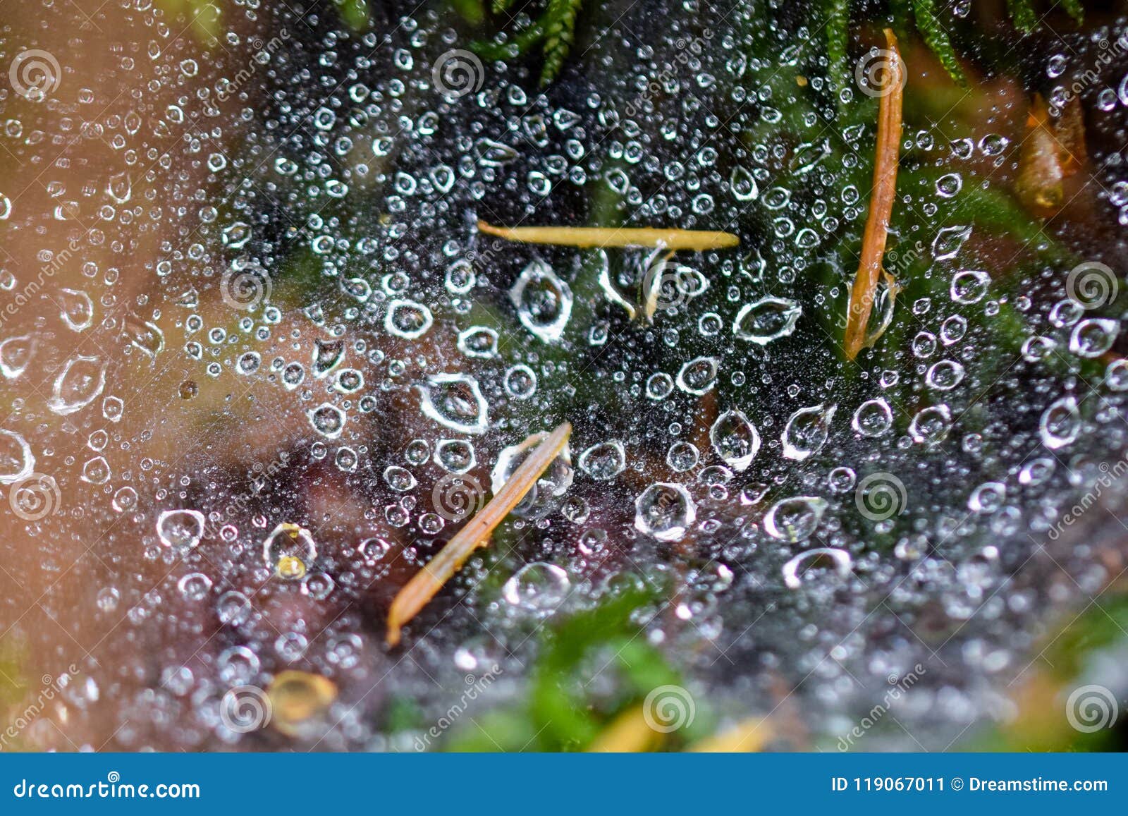 Fracture of time stock image. Image of rain, macro, drop - 119067011
