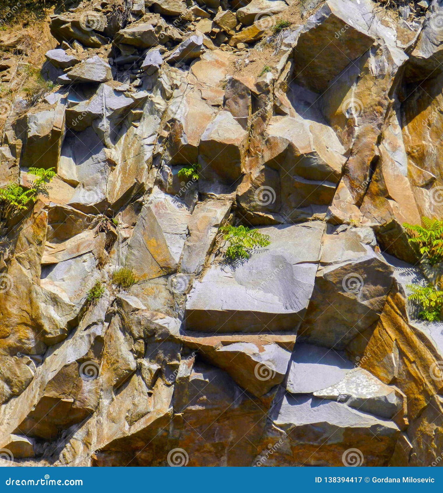Fractured Rock with Sharp Edges and Small Plants Here and There.Stones ...