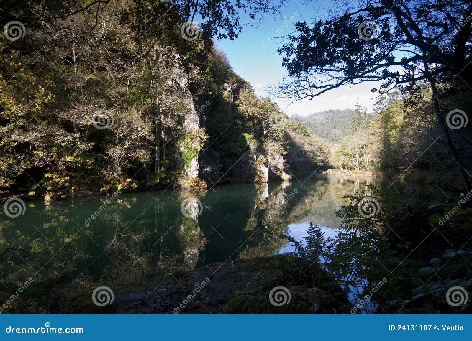 Fragas do Eume I stock image. Image of plant, natural - 24131107