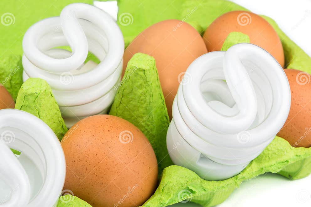 Fragile Aspect of Modern Twisted Lightbulbs Stock Photo - Image of ...