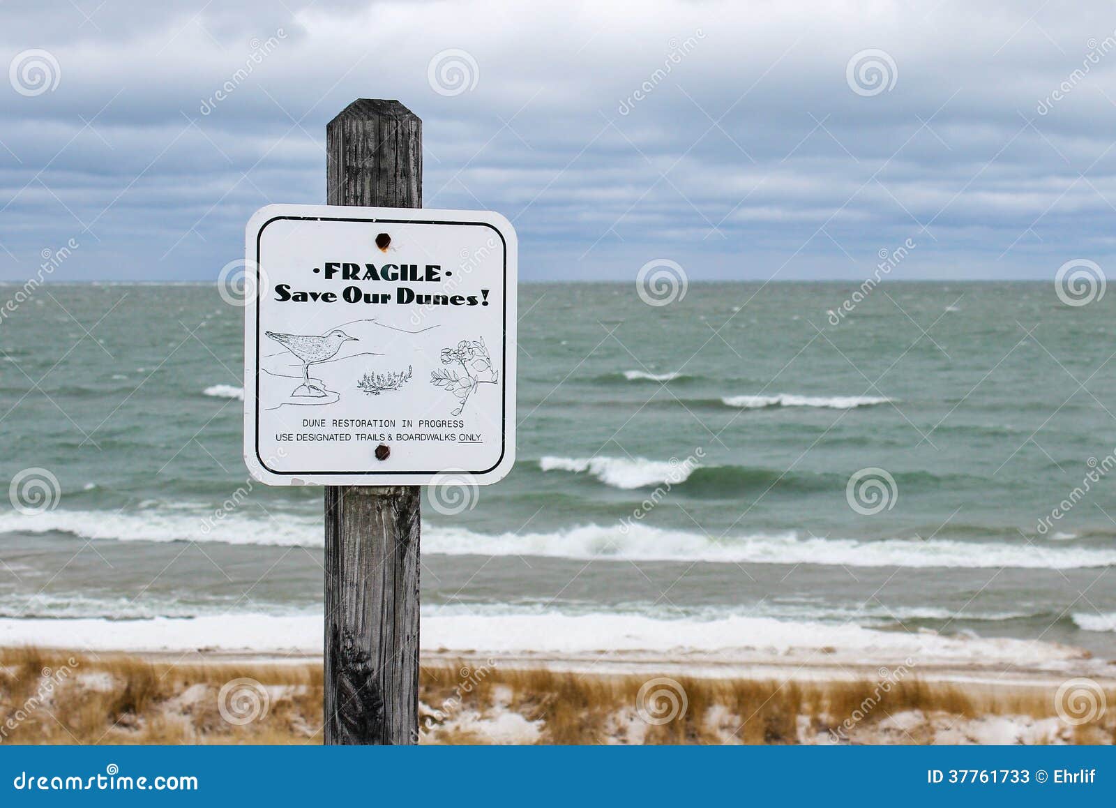 Fragile Beauty of Nature stock image. Image of clean - 37761733