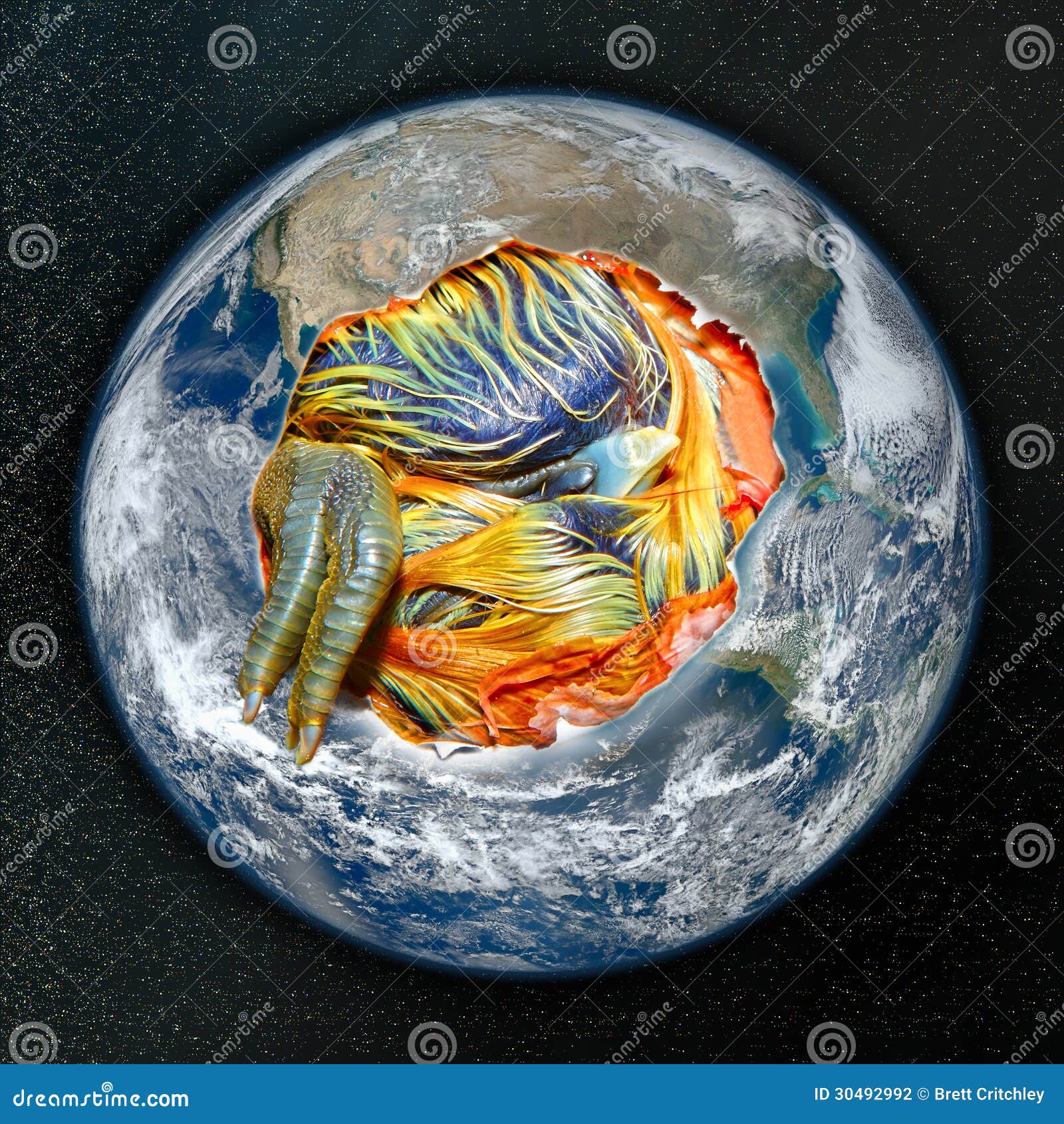 Fragile Earth Environmental Abstract Stock Photo - Image of embryo ...