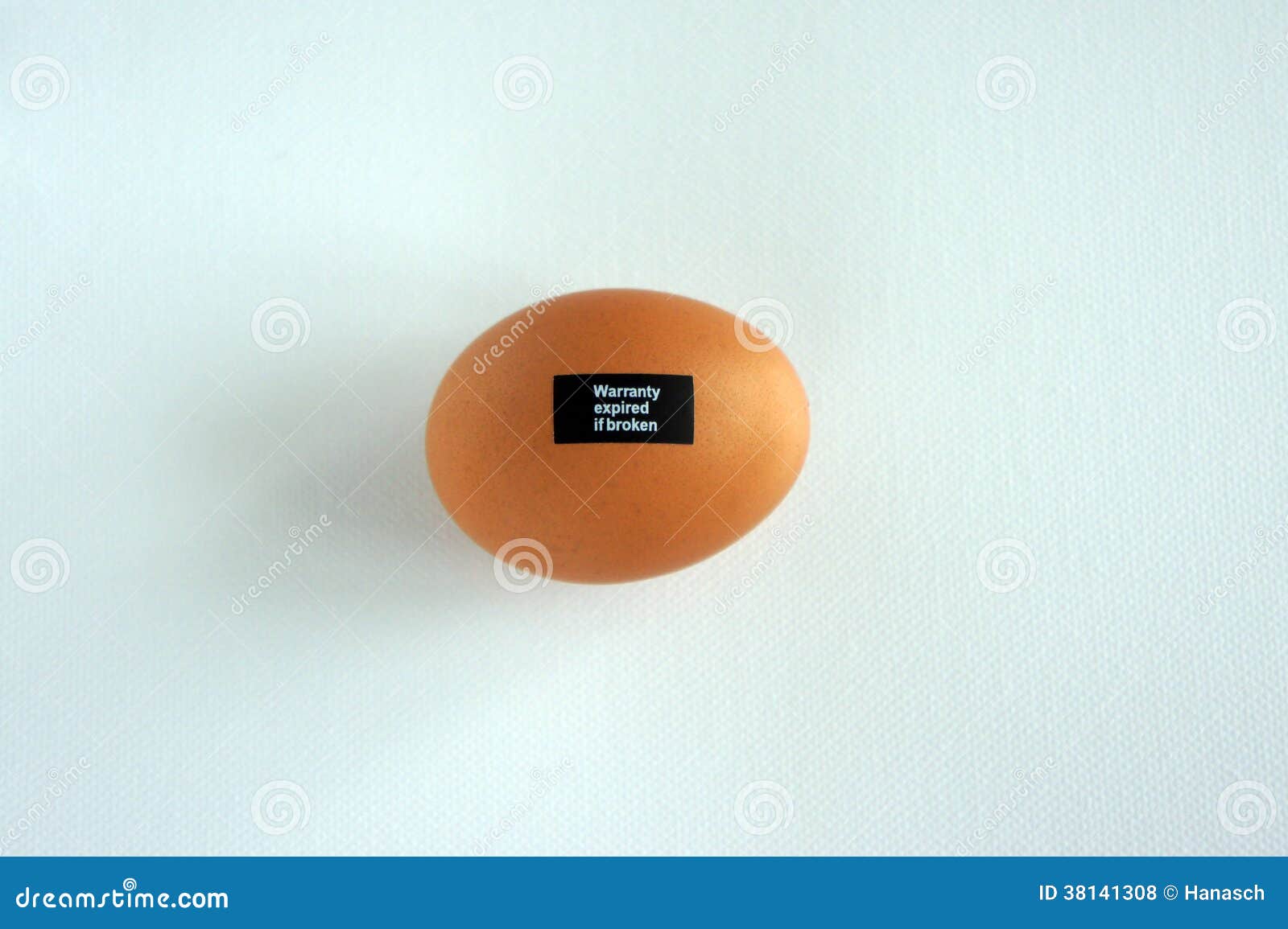 Fragile egg stock photo. Image of fowl, concept, damage - 38141308