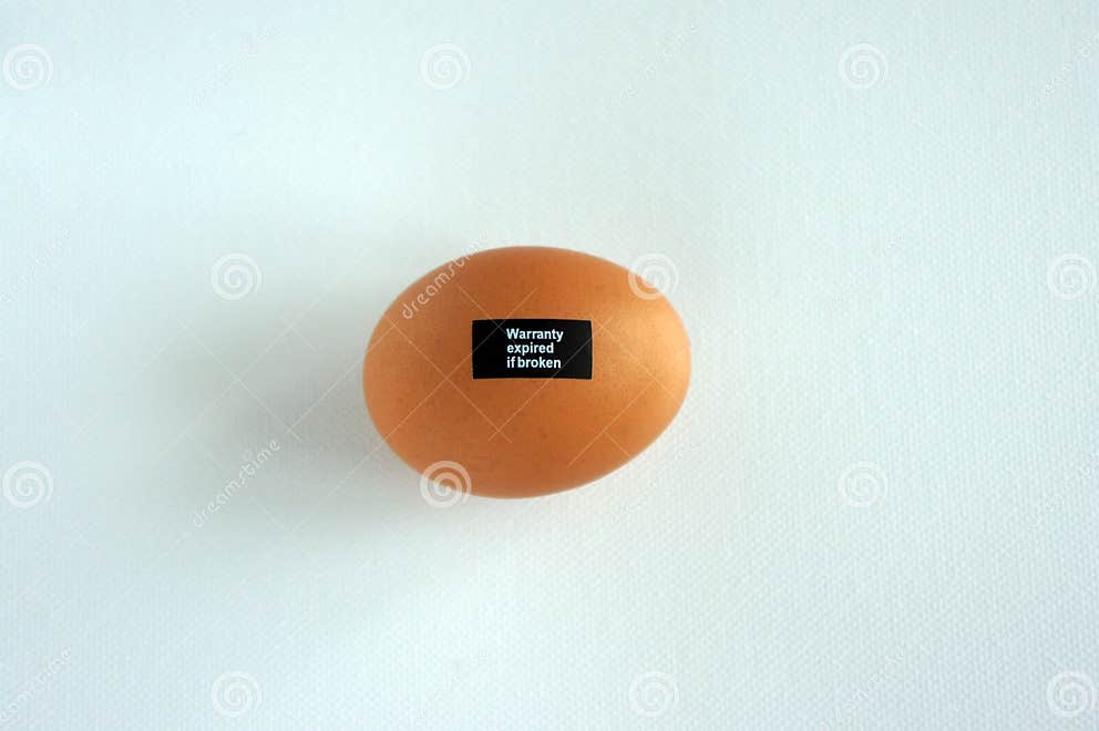 Fragile egg stock photo. Image of fowl, concept, damage - 38141308