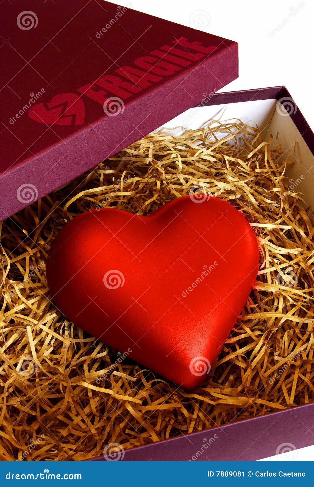 Fragile Heart stock image. Image of fragile, health, february - 7809081