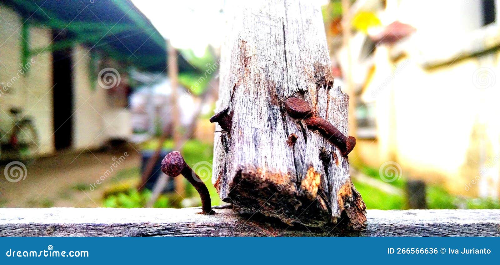 Fragile Old Wood Wallpaper Bagground Stock Photo - Image of bagground ...