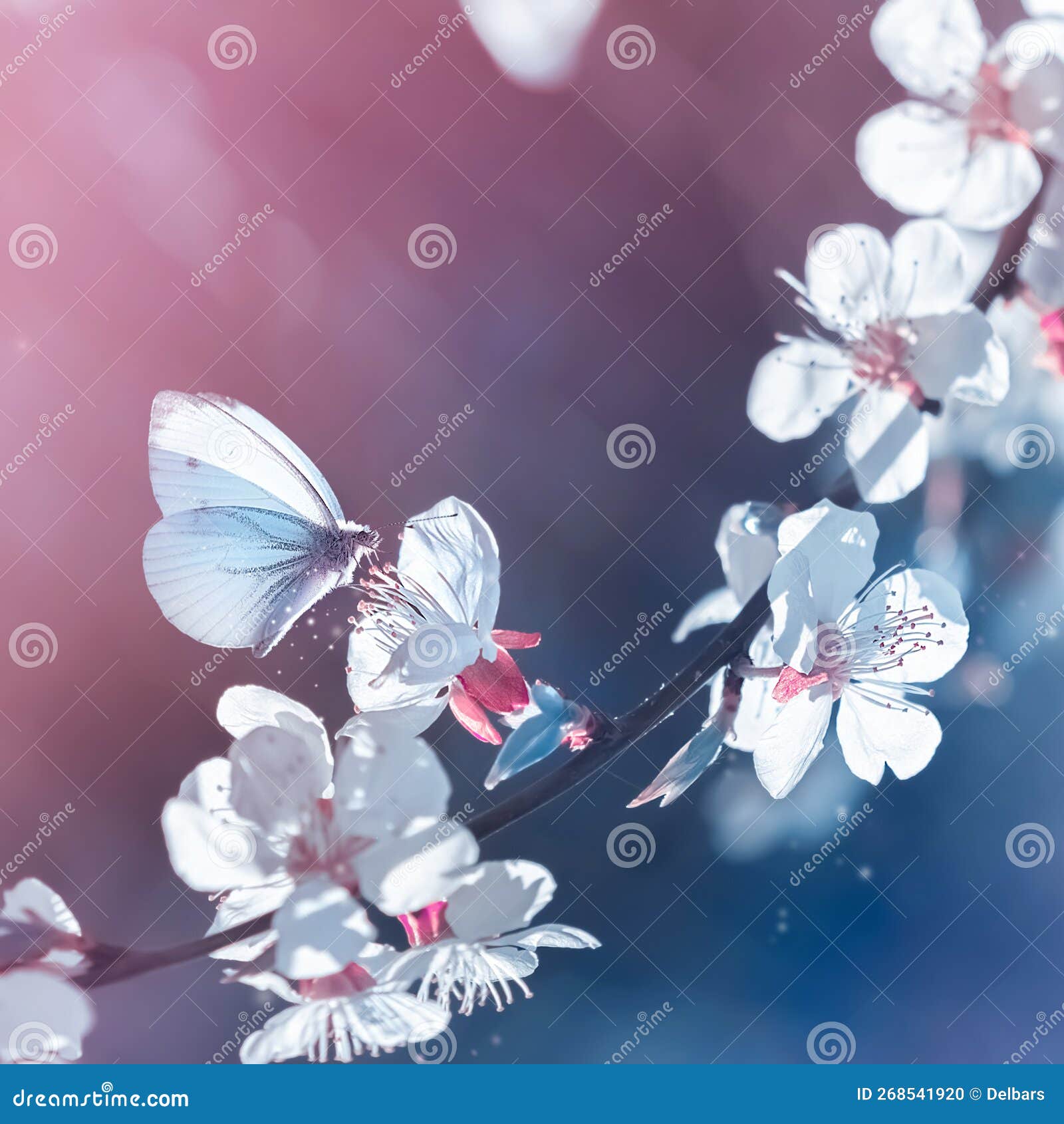 Spring Gentle Pink Tulips Flower Like Background In The Park, Floral ...