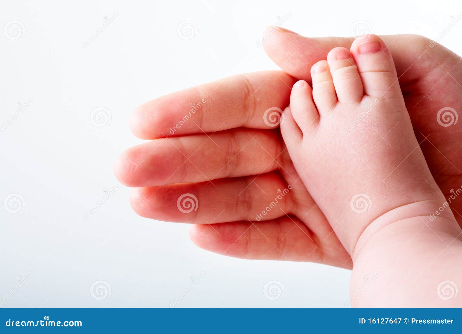 Fragility stock image. Image of delicacy, childhood, detail - 16127647