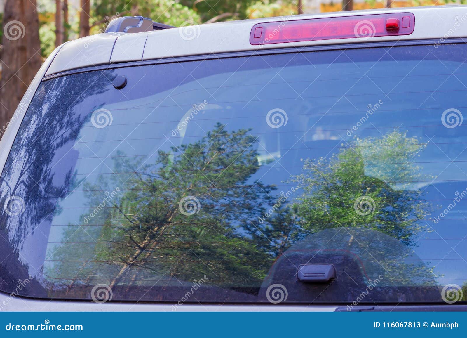 Fragment of Back of the Car with Trees Reflection Stock Image - Image ...