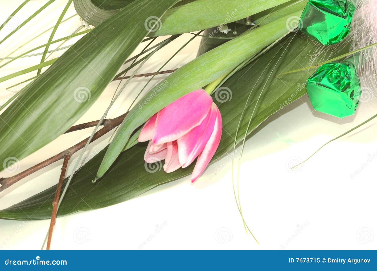 Fragment of Beautiful Bouquet Stock Image - Image of beauty, flora: 7673715