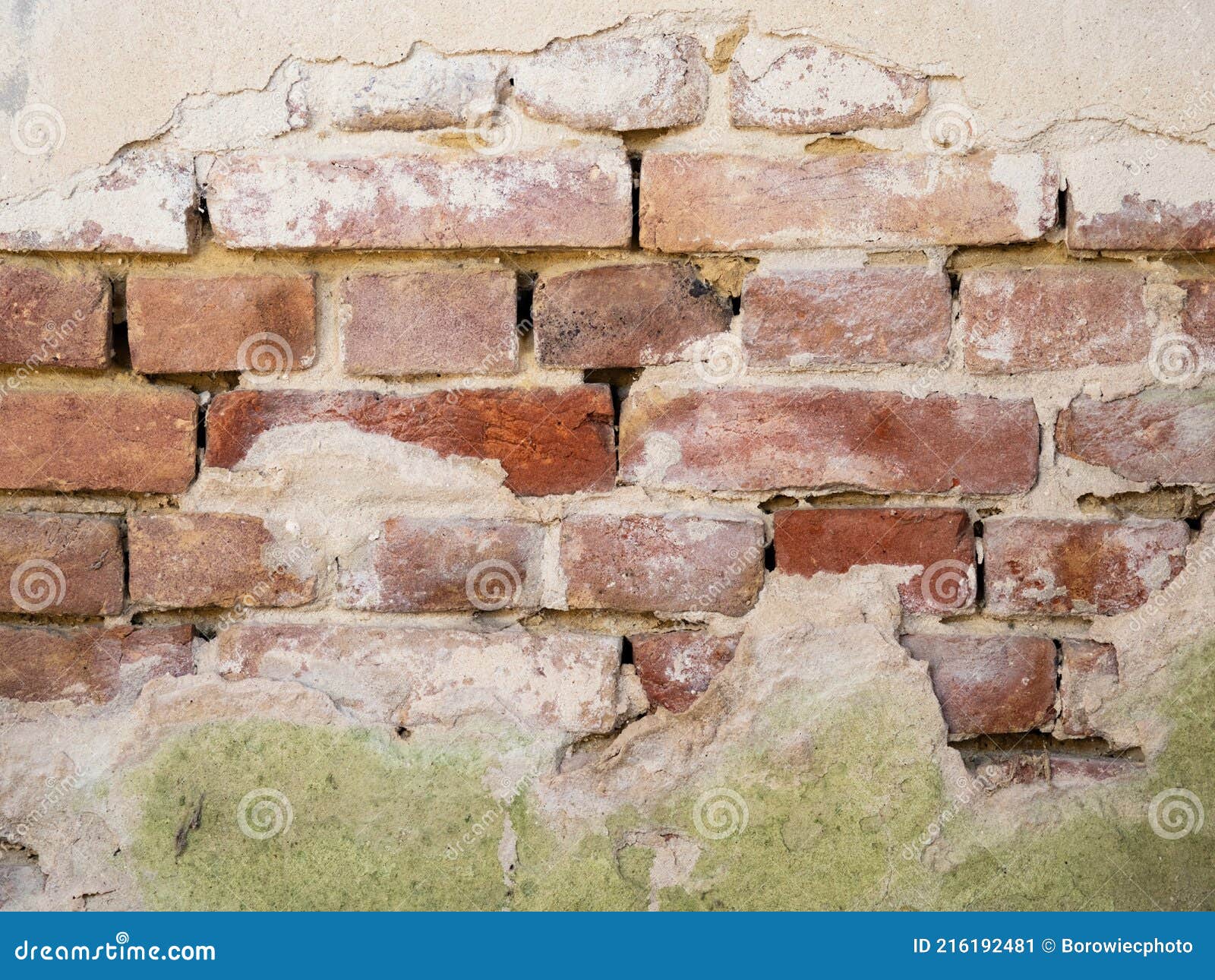 Fragment of a brick wall stock image. Image of blooming - 216192481