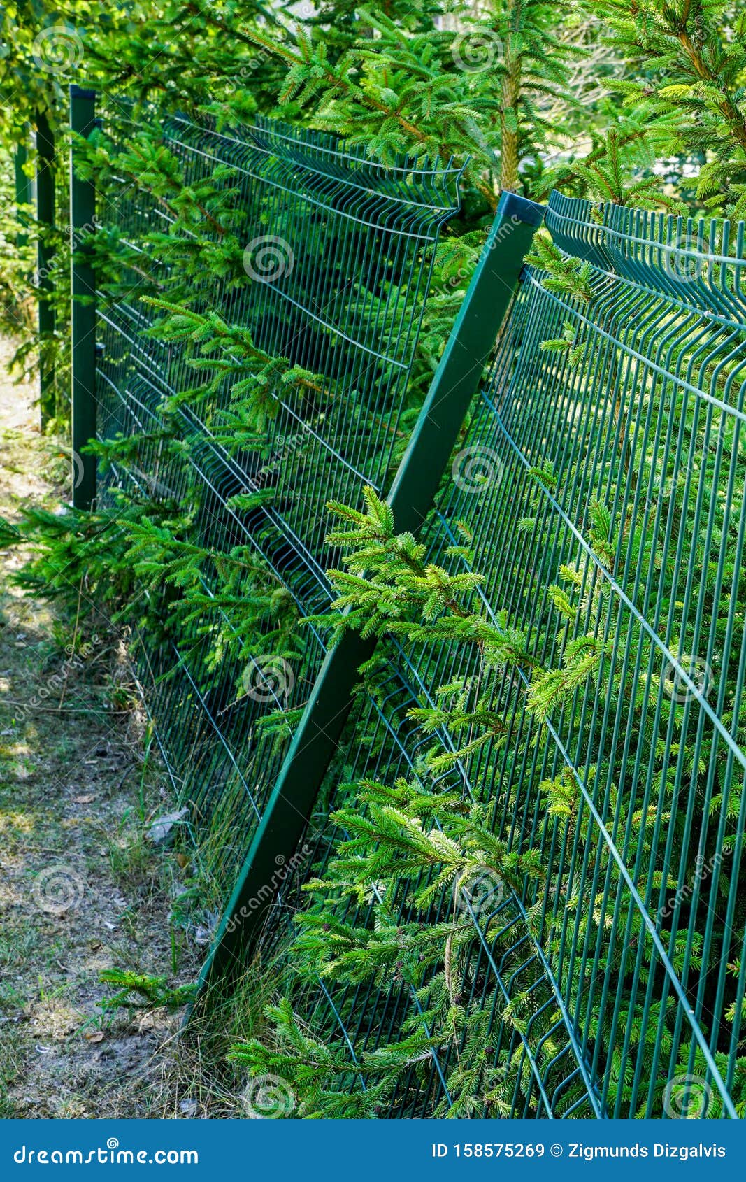 A Fragment of a Broken Metal Fence and a Deformed Fence Post Stock ...