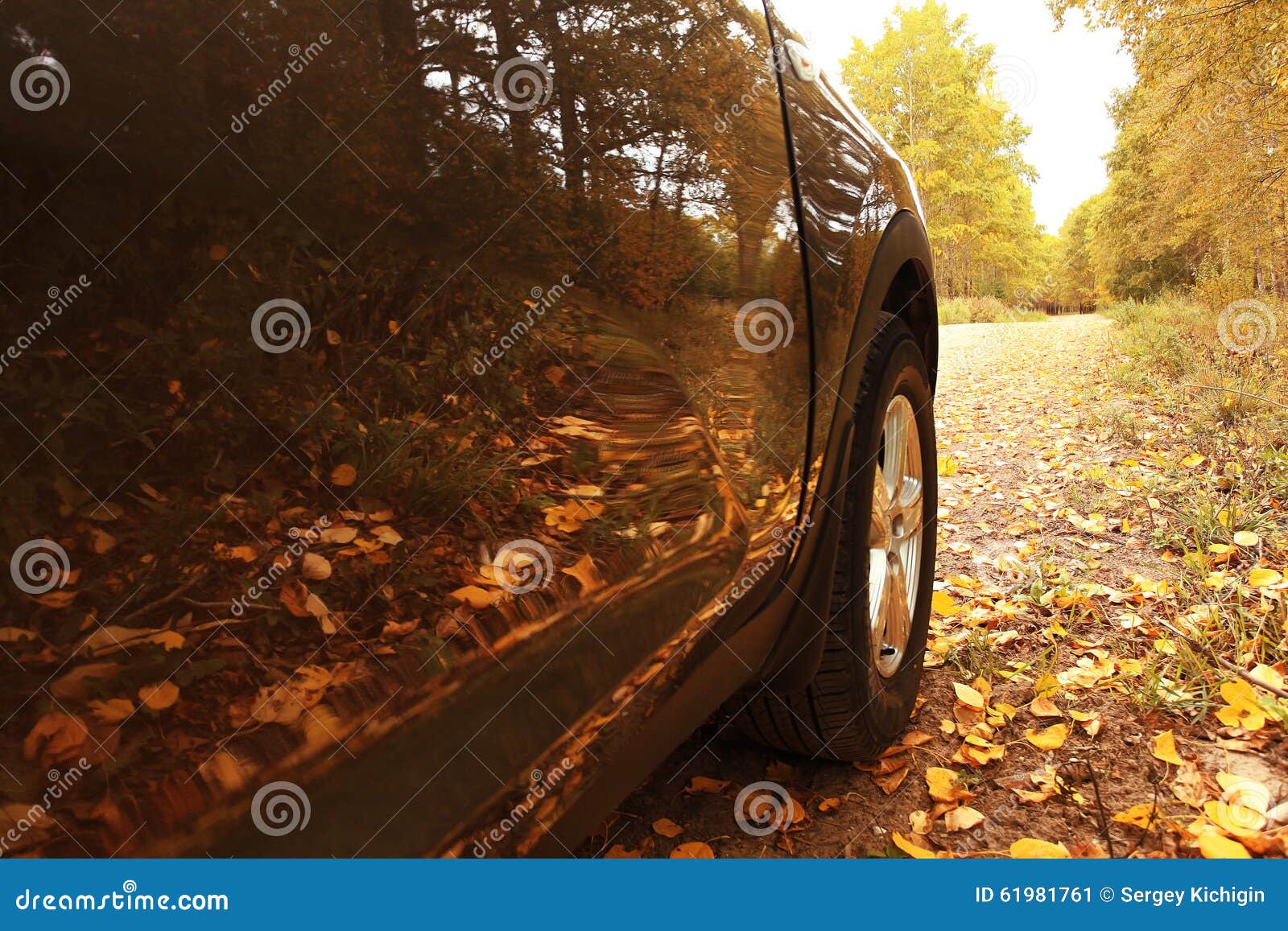 Fragment the Car in Autumn Forest Stock Image - Image of nature ...