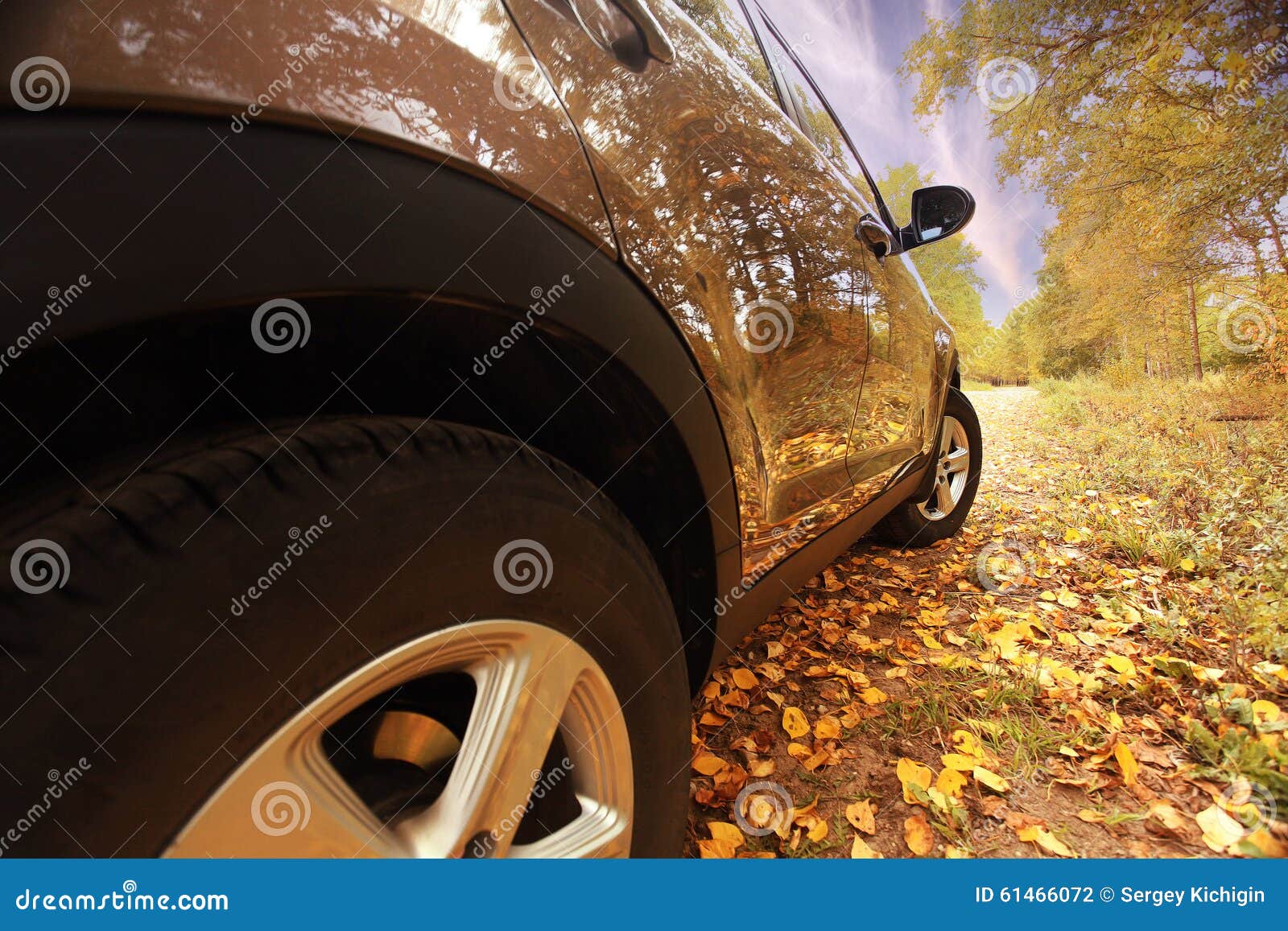 Fragment the Car in the Autumn Forest Stock Photo - Image of light ...