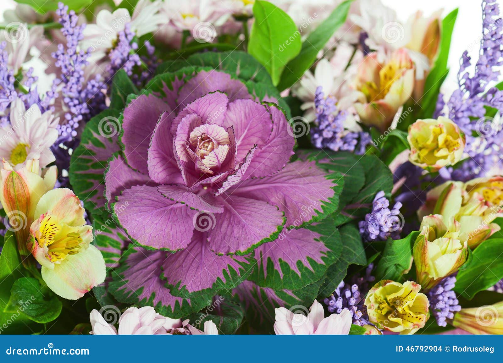 Fragment of Colorful Flower Bouquet Isolated on White Background Stock ...
